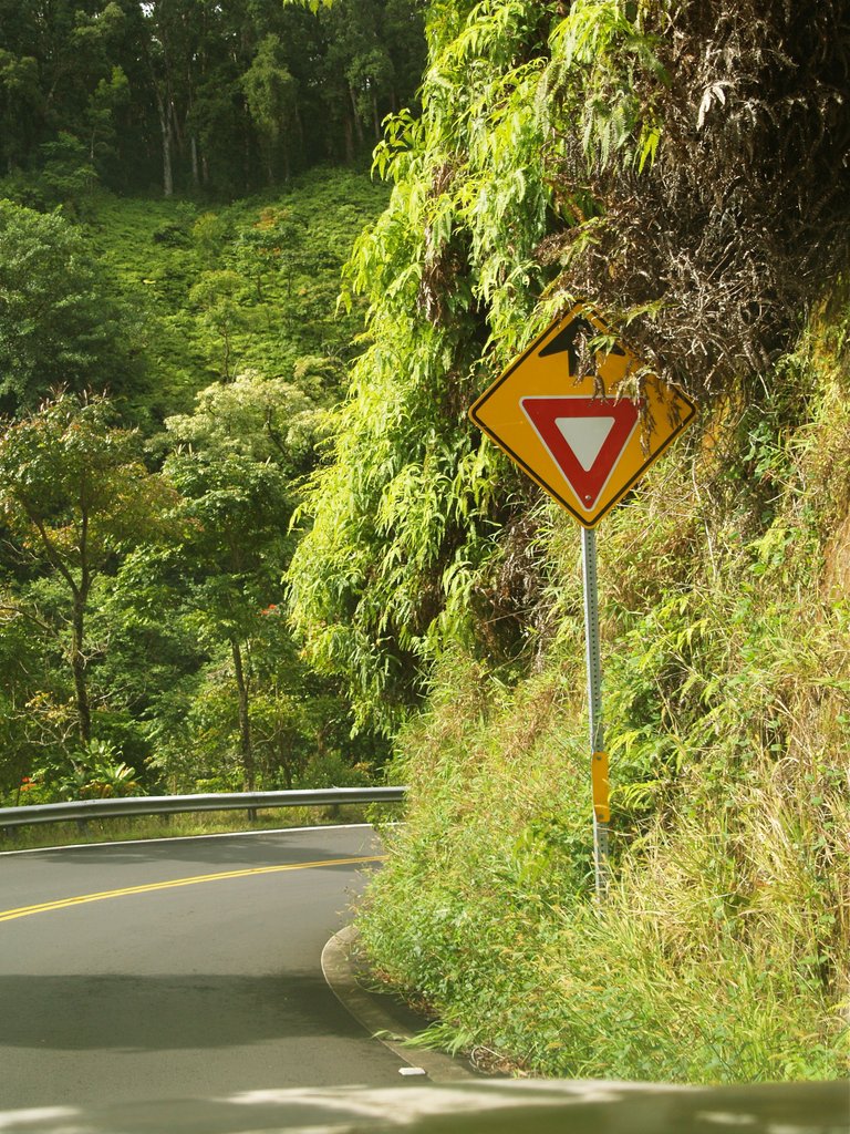 How Long Is The Road to Hana | Road to Hana